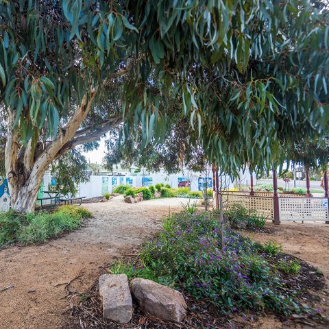 MINYIP | WIMMERA | VICTORIA